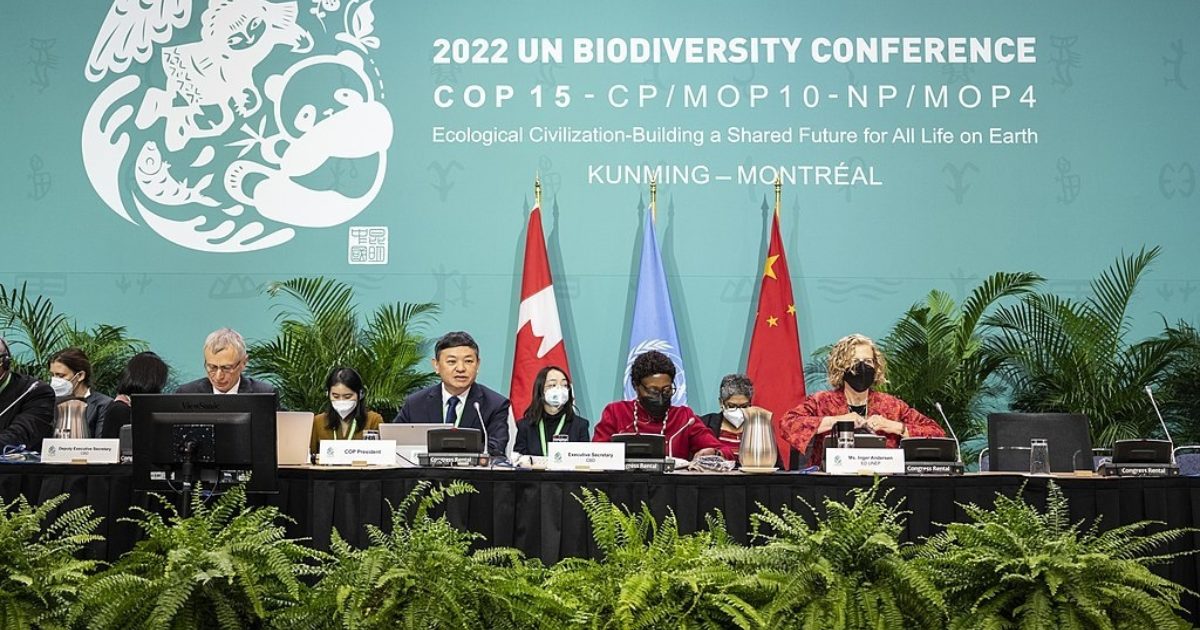 Energy & Climate Intelligence Unit | COP15: what might come out of…