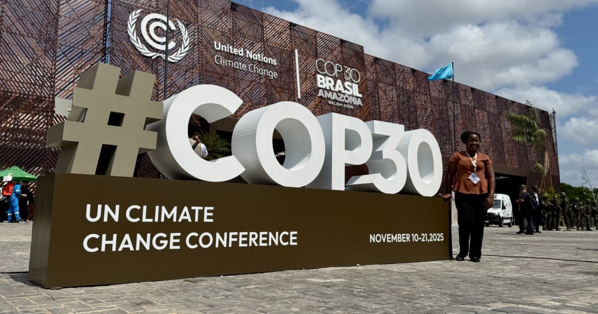Energy & Climate Intelligence Unit | COP30 – where we landed