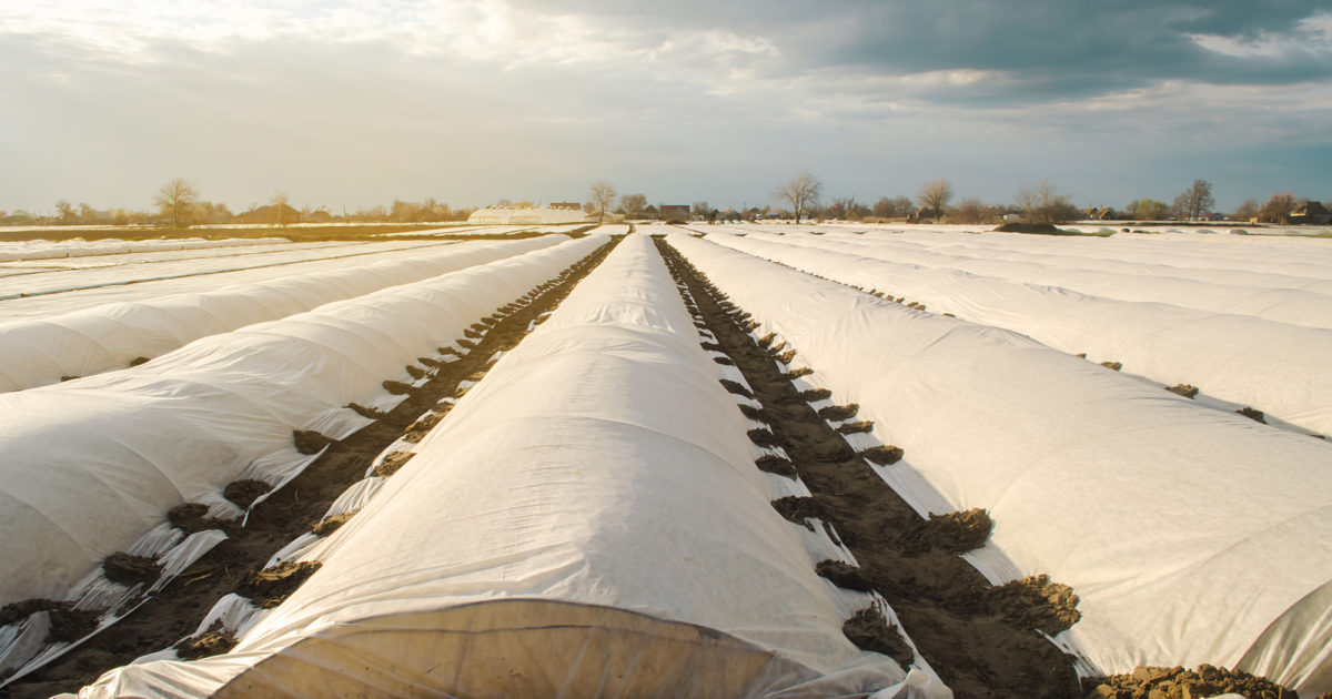 Energy & Climate Intelligence Unit | Comment: Government support for…