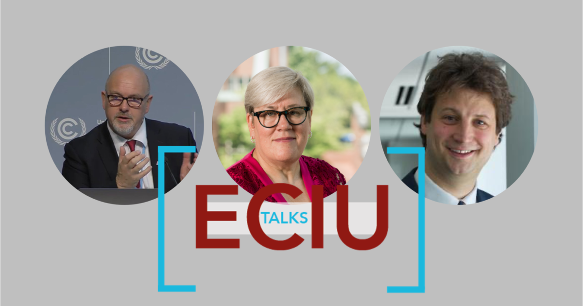 Energy & Climate Intelligence Unit | What next for progress to COP27?