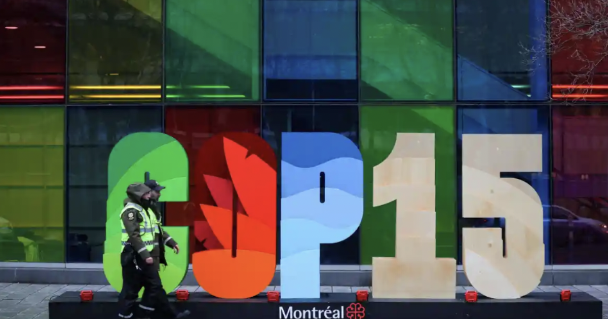 Energy & Climate Intelligence Unit | COP15: what might come out of…