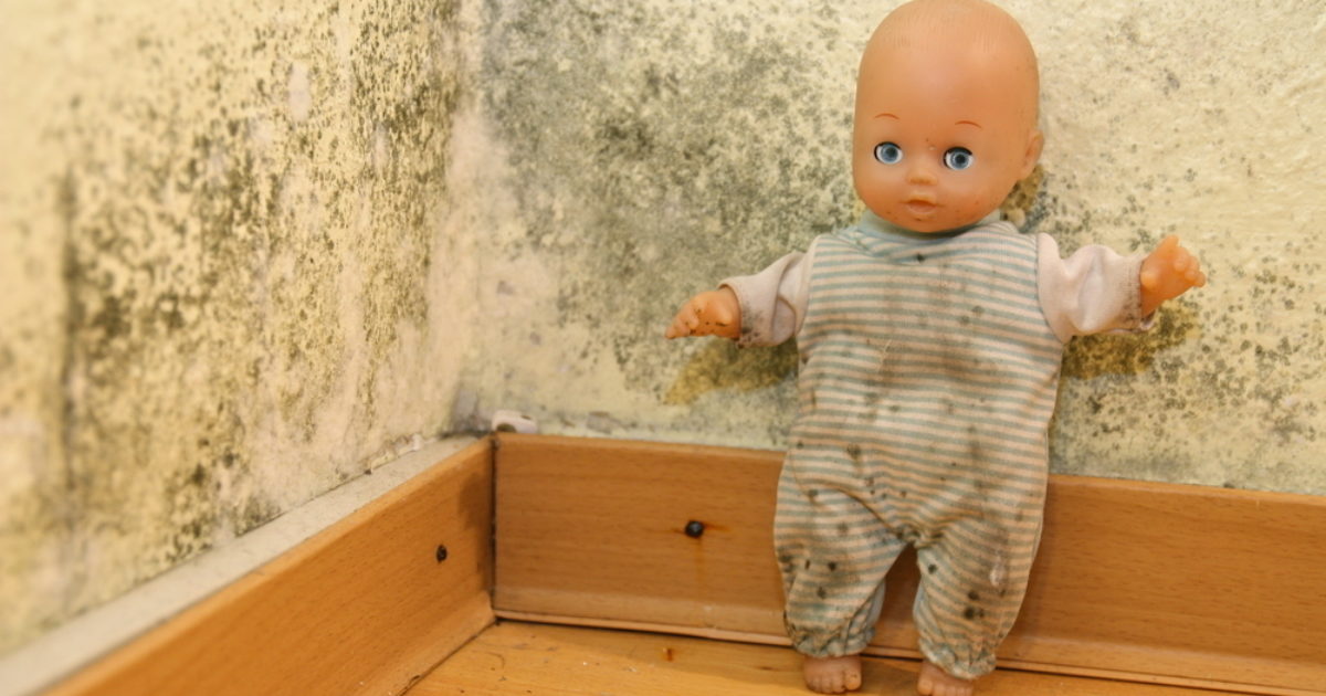 Energy & Climate Intelligence Unit | ECIU