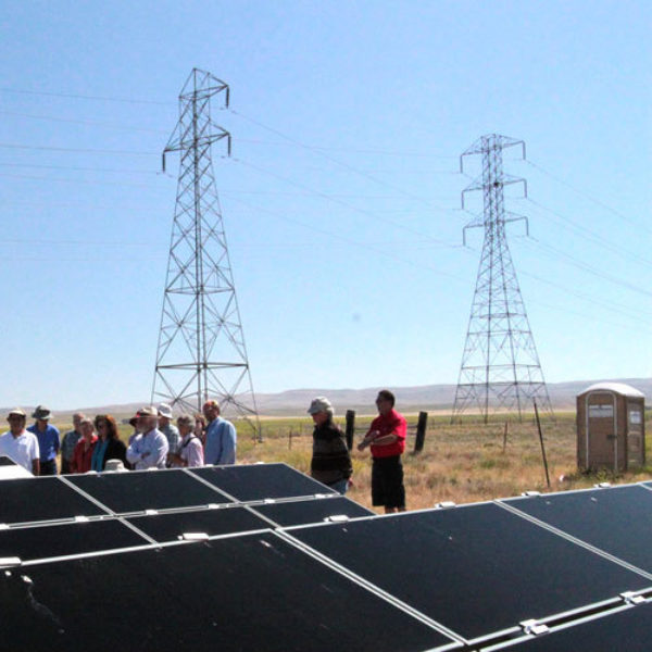 Energy & Climate Intelligence Unit | Is 'green crap' really driving…